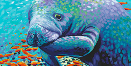 Manatee Wall Art & Canvas Prints | Manatee Panoramic Photos, Posters ...