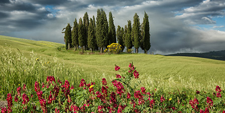 Tuscany Canvas Art Prints | Tuscany Panoramic Photos, Posters, & More ...