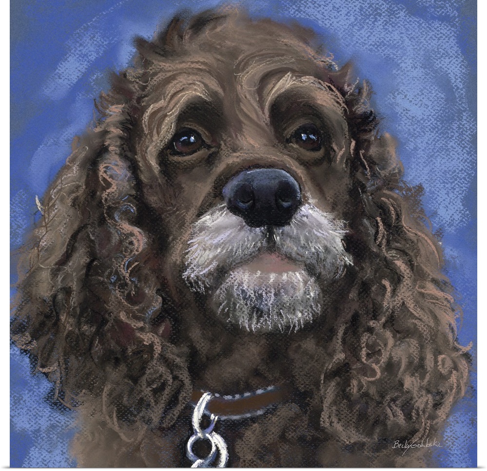 Cocker Spaniel Adult Dry Royal Canin, 49% OFF
