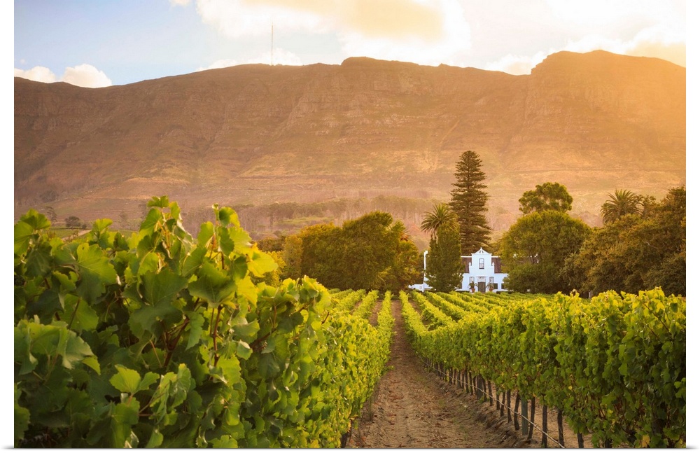 Sale > constantia farm > in stock