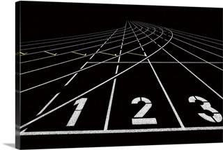 Track and Field Wall Art & Canvas Prints | Track and Field Panoramic ...