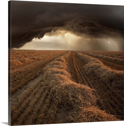 Approaching Storm | Great Big Canvas
