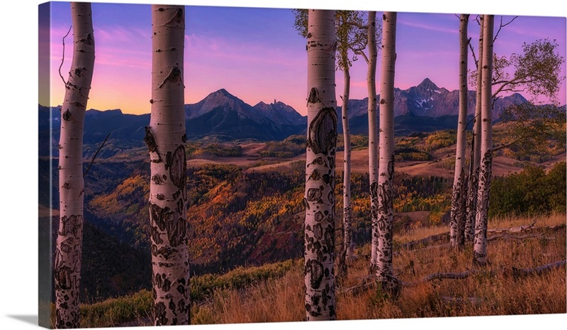 Aspen Frames | Great Big Canvas