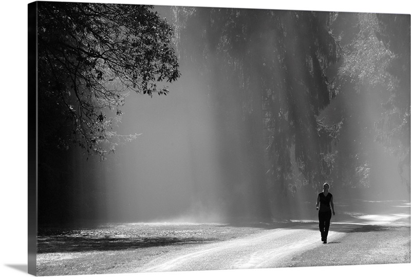 Autumn Morning Walk | Great Big Canvas