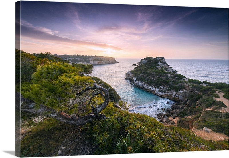 Bay Dreams | Great Big Canvas