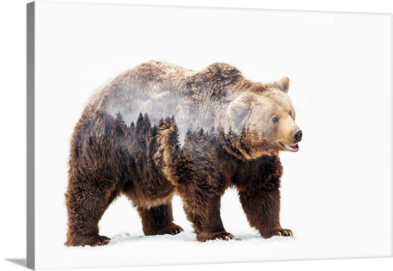 Bear | Great Big Canvas