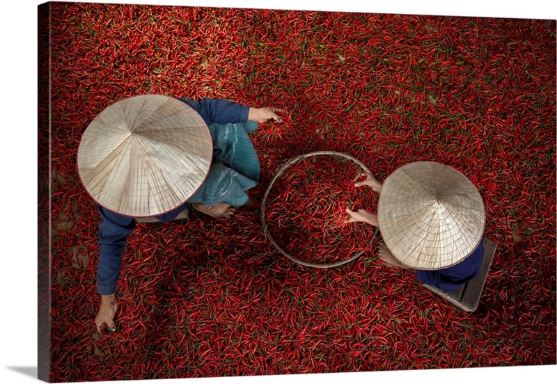 Chilli | Great Big Canvas