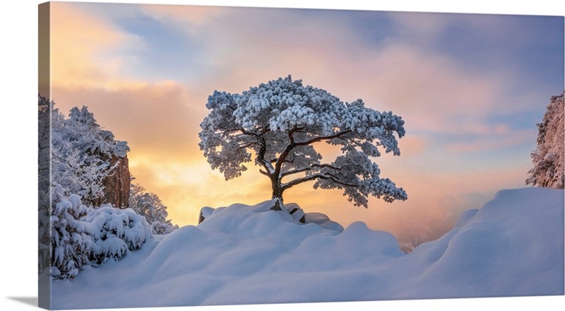 Cold Loner | Great Big Canvas