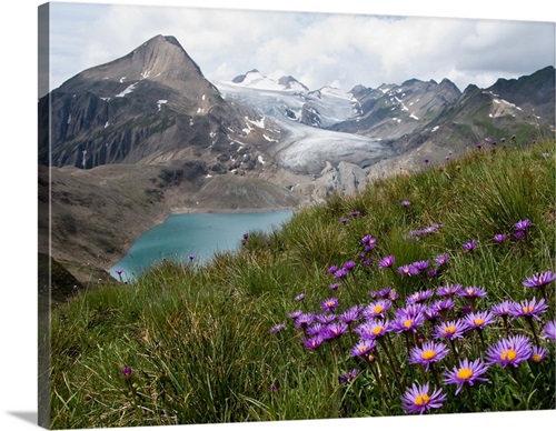 Corno Gries, Switzerland Wall Art, Canvas Prints, Framed Prints, Wall ...