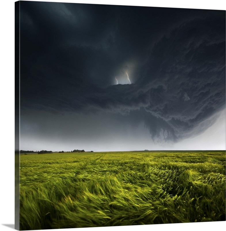 Dark Horizon | Great Big Canvas