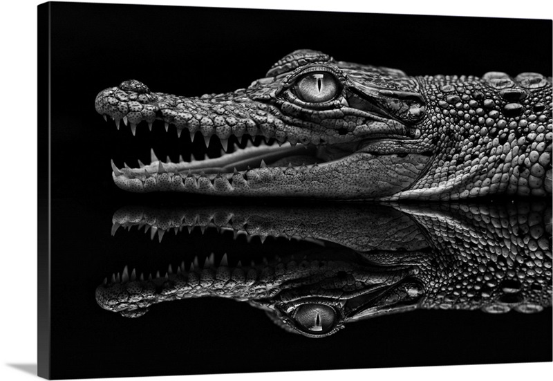 Dark Mirror | Great Big Canvas