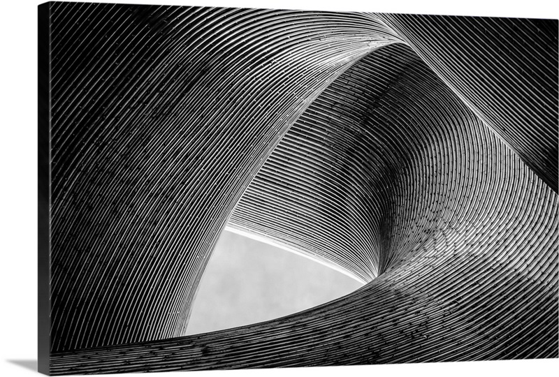 Entwined | Great Big Canvas