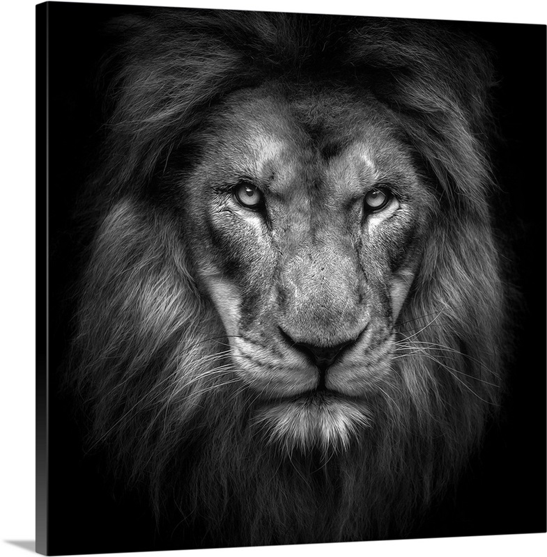 Face | Great Big Canvas