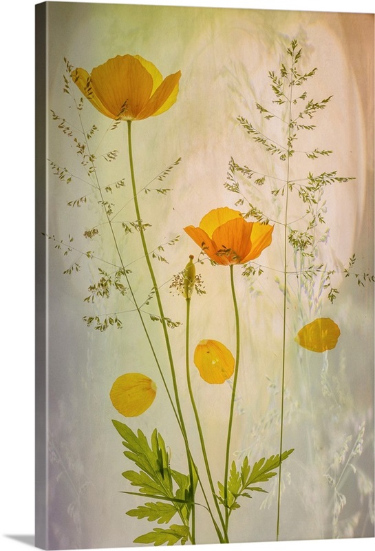 Fragile | Great Big Canvas