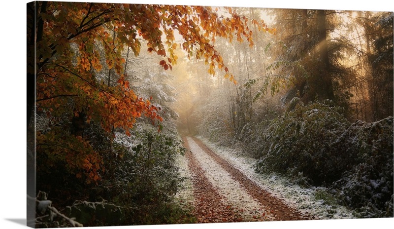 Frosty Fall | Great Big Canvas