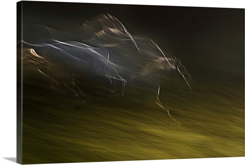 Gallop With Wind | Great Big Canvas