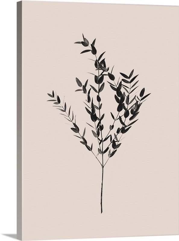 Inky Botanical | Great Big Canvas