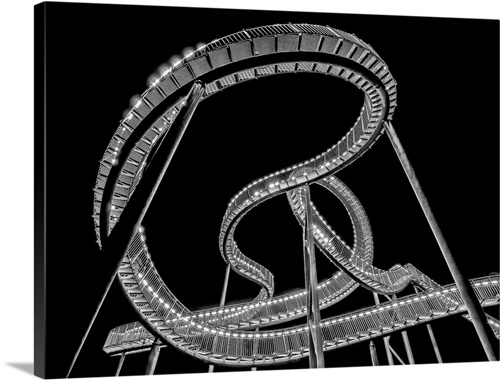 Lightsnake | Great Big Canvas