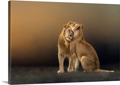 Love Is Universal Wall Art, Canvas Prints, Framed Prints, Wall Peels ...