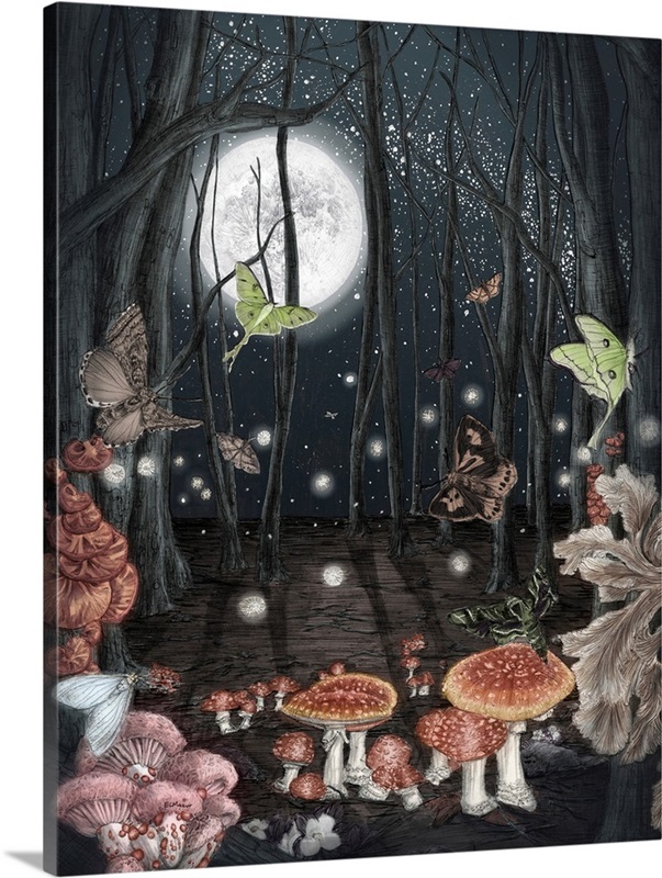 Midnight Magic | Great Big Canvas