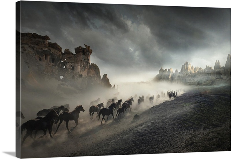 Migration Wall Art, Canvas Prints, Framed Prints, Wall Peels | Great ...