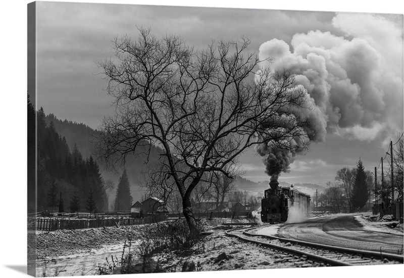 Mocanita Hutulca | Great Big Canvas