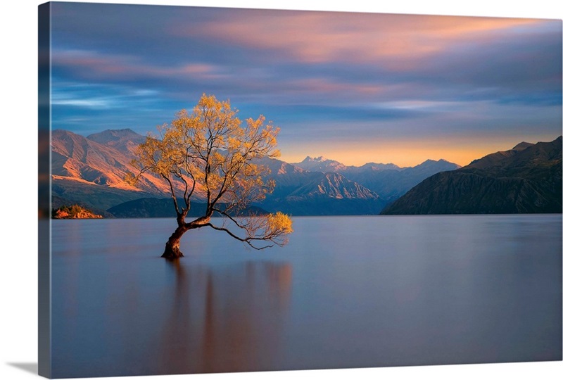 Morning Glow | Great Big Canvas