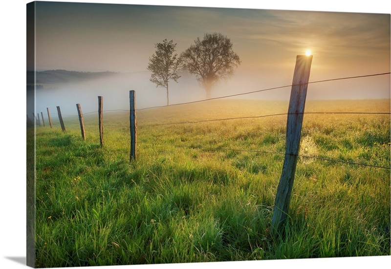 Morning Sun | Great Big Canvas