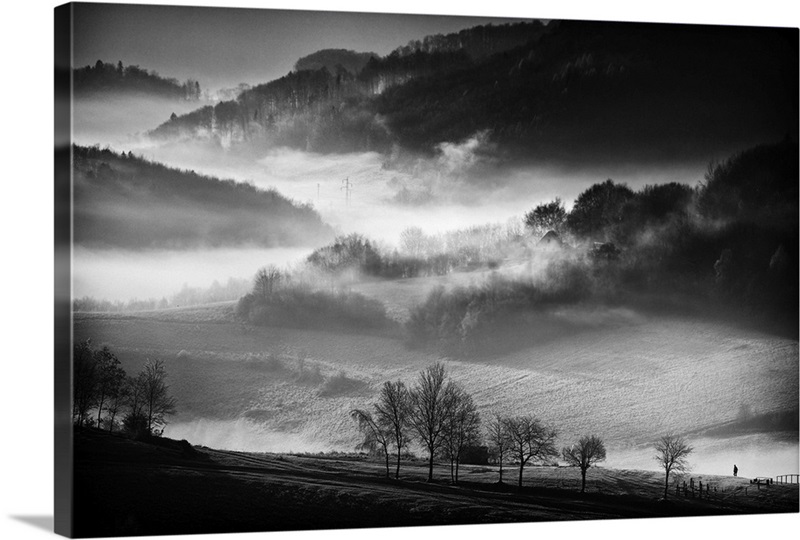 Morning Walk | Great Big Canvas