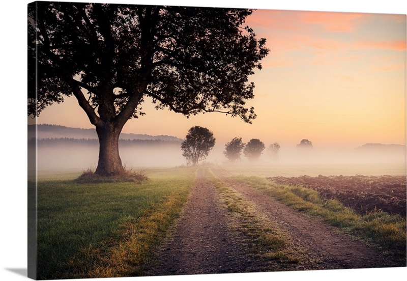 Mystic Path | Great Big Canvas