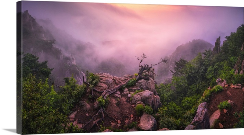 New Life | Great Big Canvas