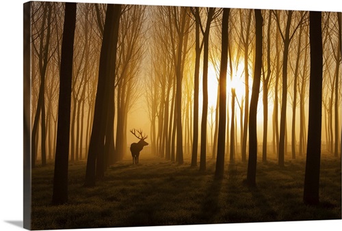 Once Upon A Time | Great Big Canvas