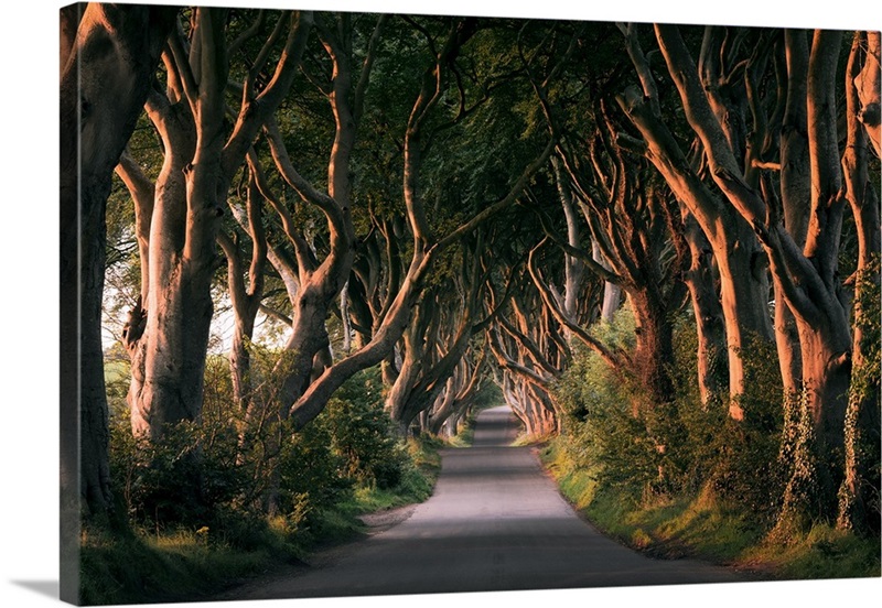 Red Avenue | Great Big Canvas