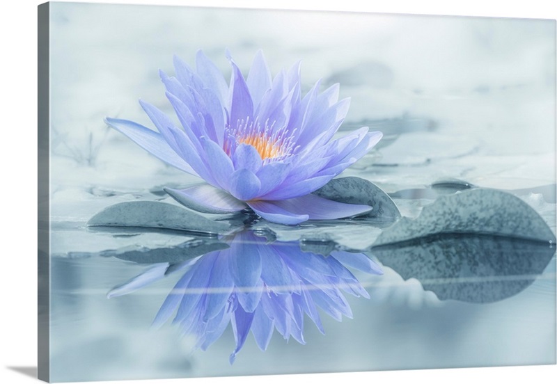 Reflection | Great Big Canvas