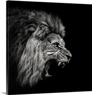 Roaring Lion 2 Wall Art Canvas Prints Framed Prints Wall Peels Roaring Lion 2 Wall Art Canvas Prints Framed Prints Wall Peels