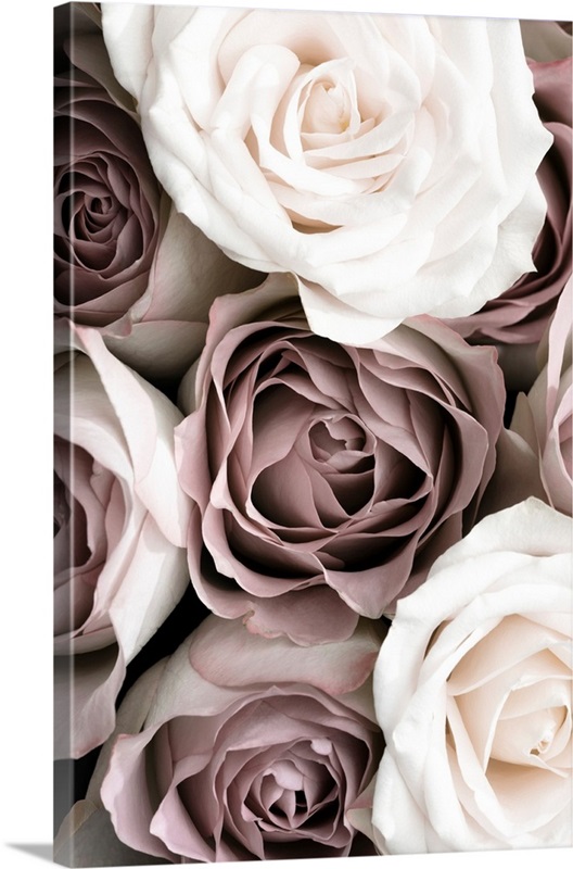 Roses | Great Big Canvas
