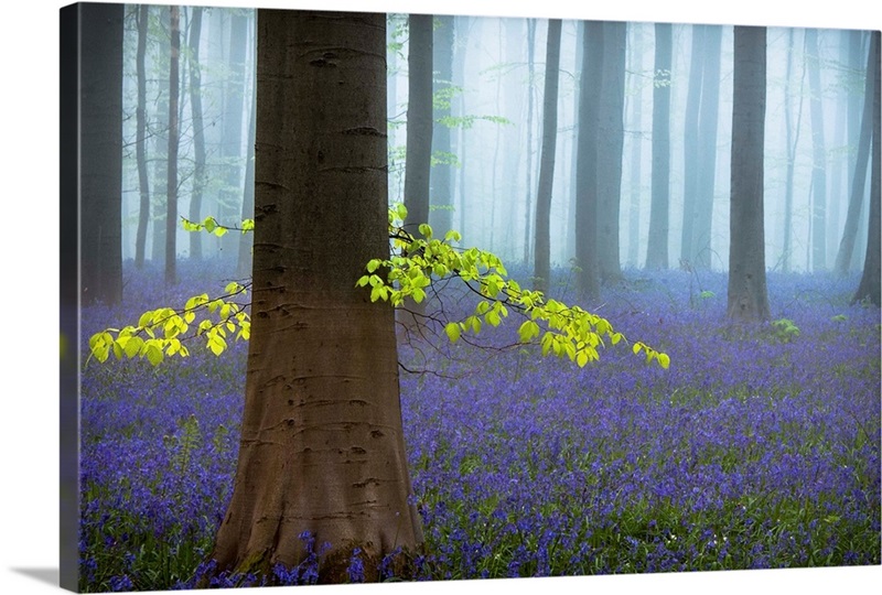 Spring | Great Big Canvas