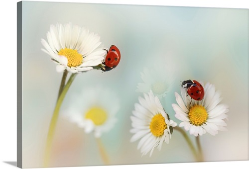 Springtime Wall Art, Canvas Prints, Framed Prints, Wall Peels | Great ...