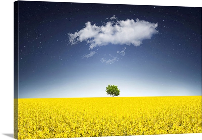 Surreal Canola Field | Great Big Canvas