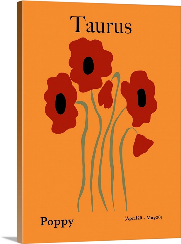 Taurus Poppy | Great Big Canvas