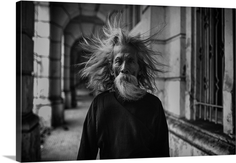 That summer the wind blows | Great Big Canvas