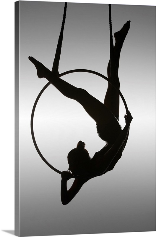 The Aerialist Wall Art, Canvas Prints, Framed Prints, Wall Peels ...