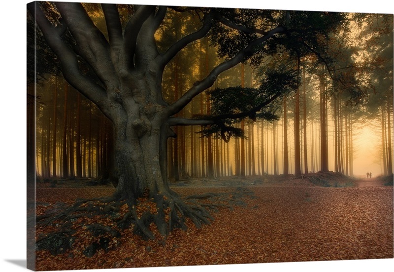 To The Light | Great Big Canvas