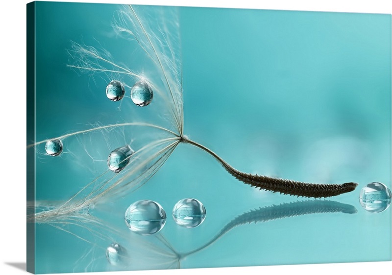 Water | Great Big Canvas
