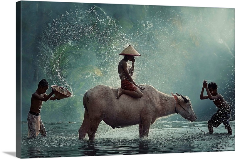 Water Buffalo | Great Big Canvas