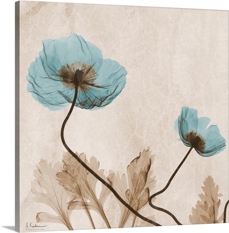 Blue Poppy X-Ray Photograph | Great Big Canvas