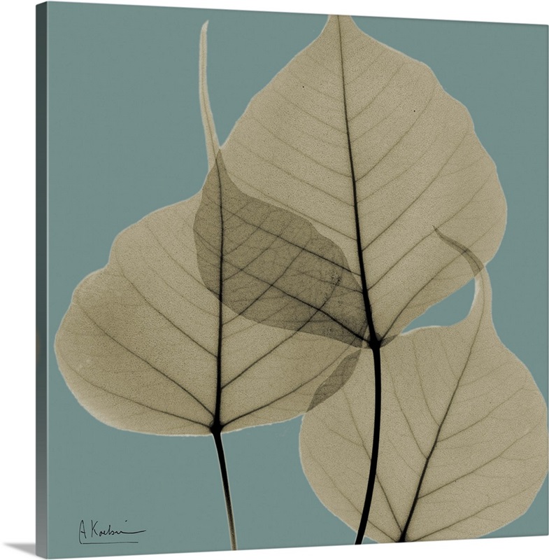 Bo Tree | Great Big Canvas