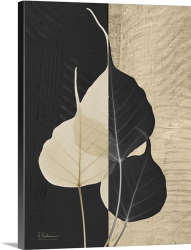 Bo Tree Leaf X-Ray Photograph | Great Big Canvas