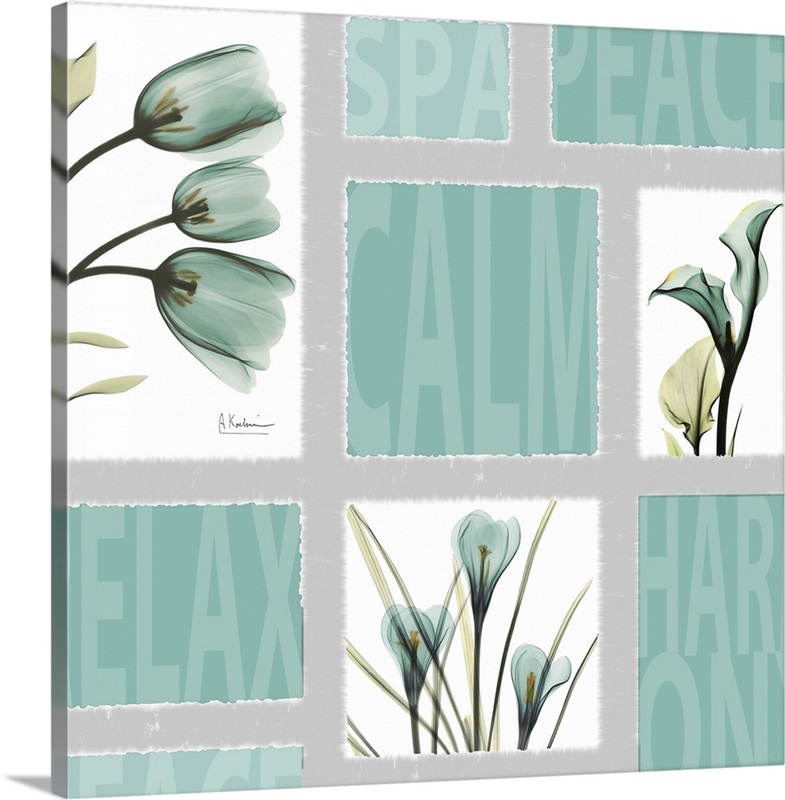 Mondrian Spa x-ray photography | Great Big Canvas