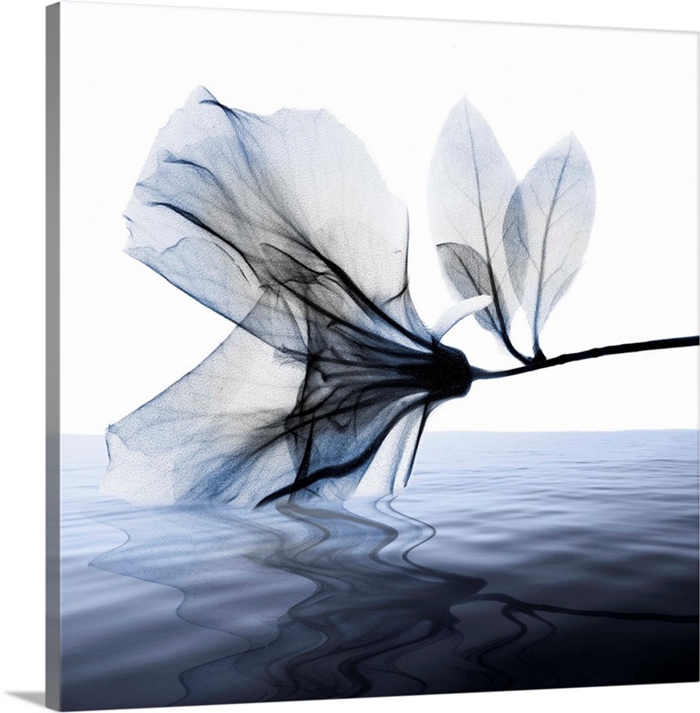 Ocean Scent 1 | Great Big Canvas